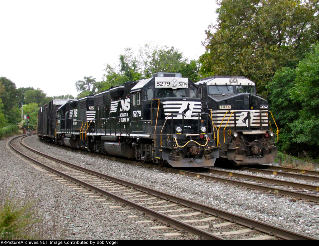 NS 5279 and 8325